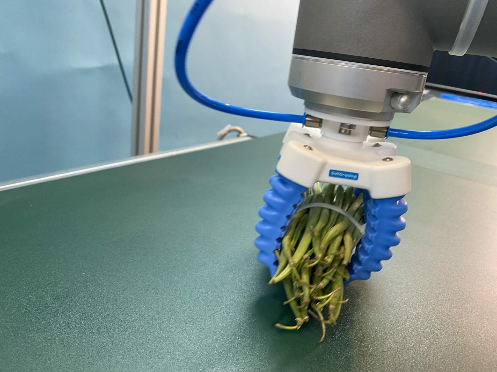 How Soft Grippers and Delta Robots are Transforming the Vegetable ...